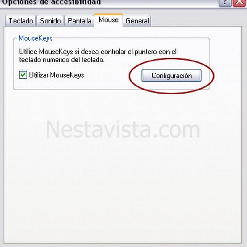 Cómo mover el puntero del Mouse con el Teclado - Nestavista